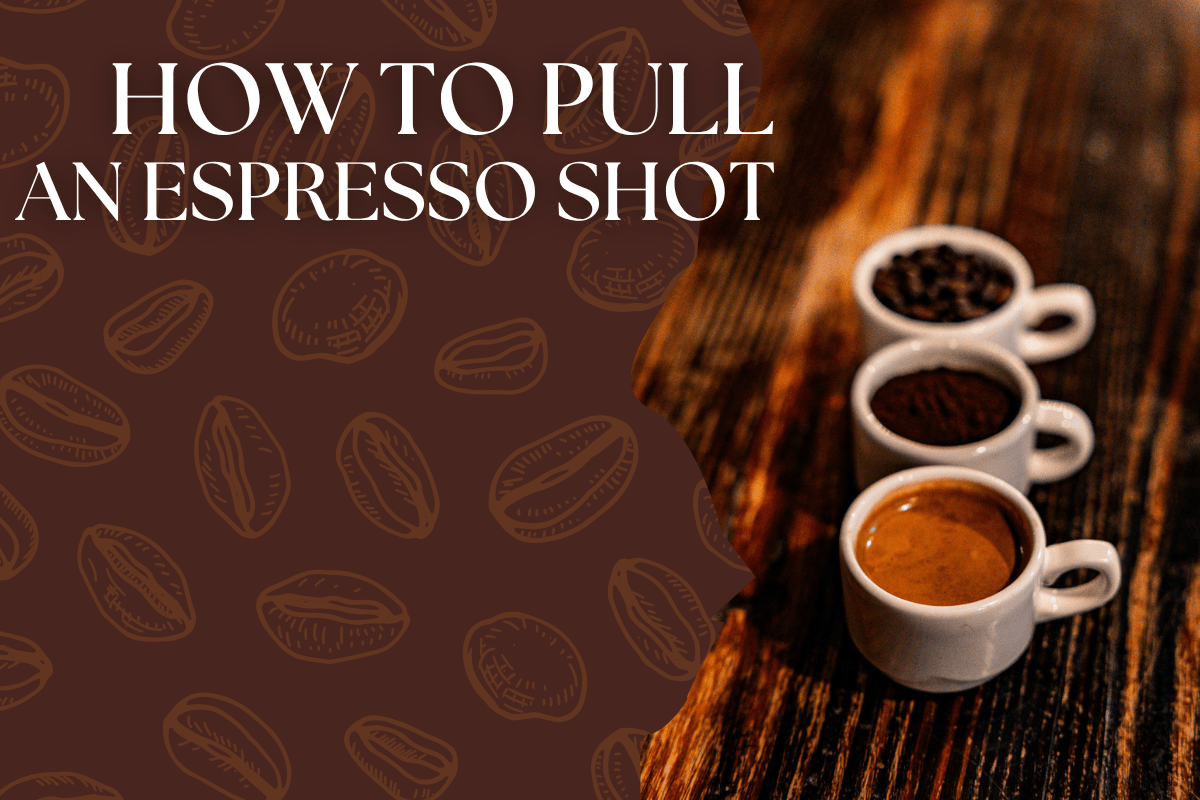 How To Pull an Espresso Shot – Z Beans Coffee