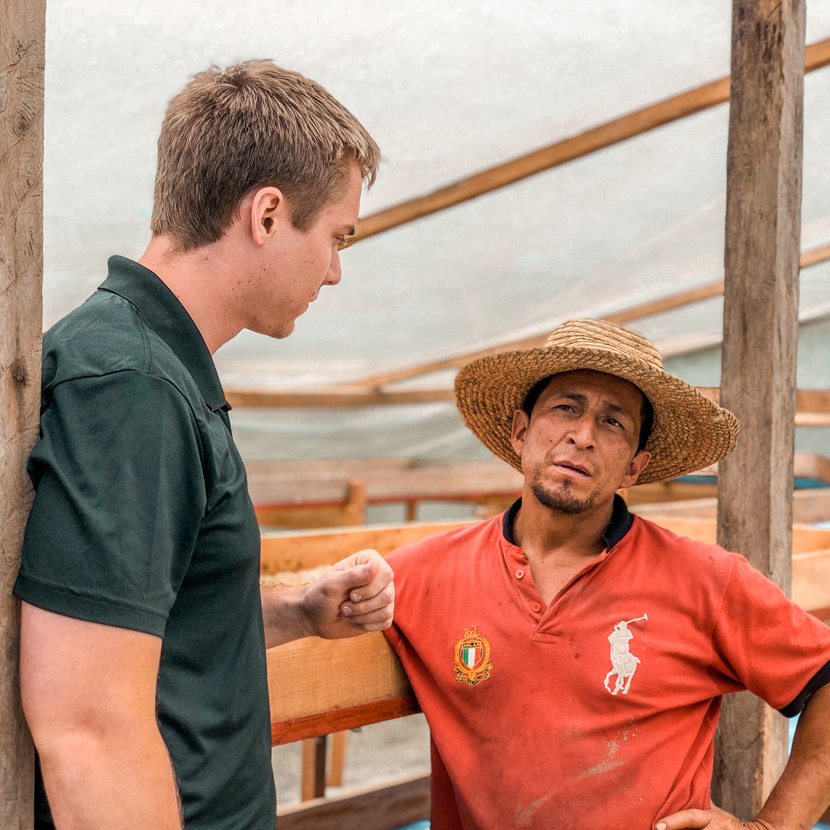 Jose Mayo – Z Beans Coffee