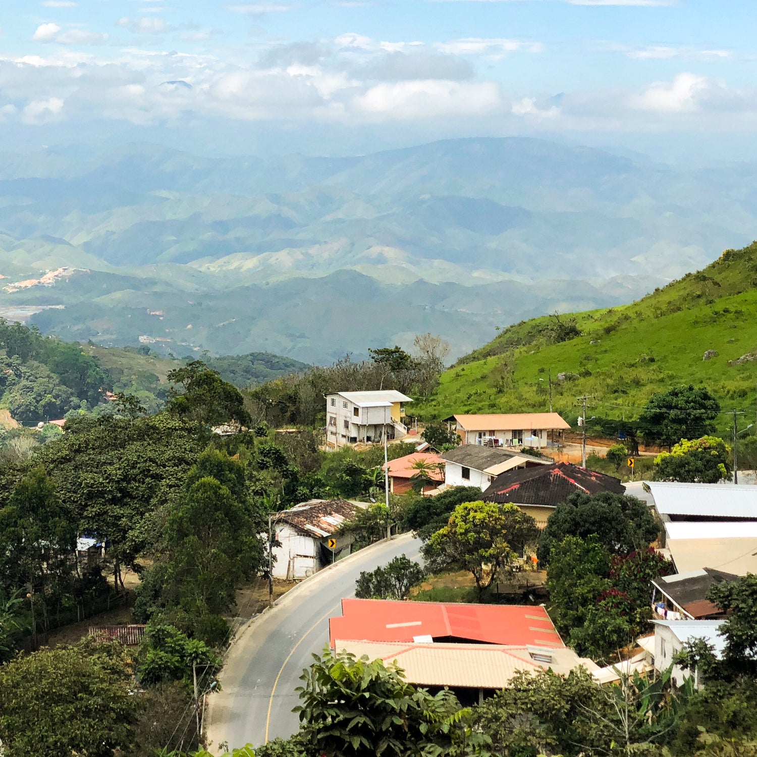 Zaruma | Z Beans Coffee