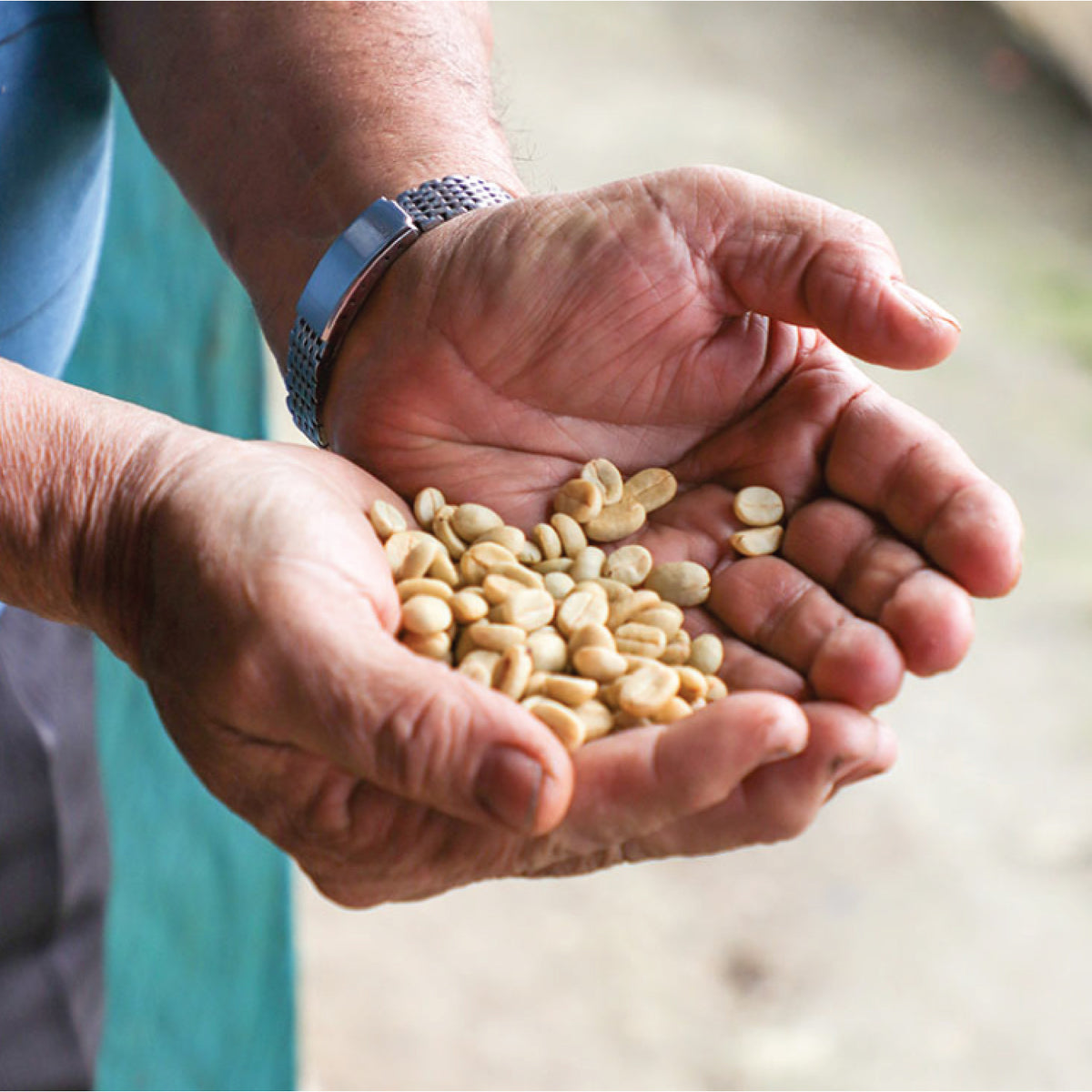 Our Process | Z Beans Coffee