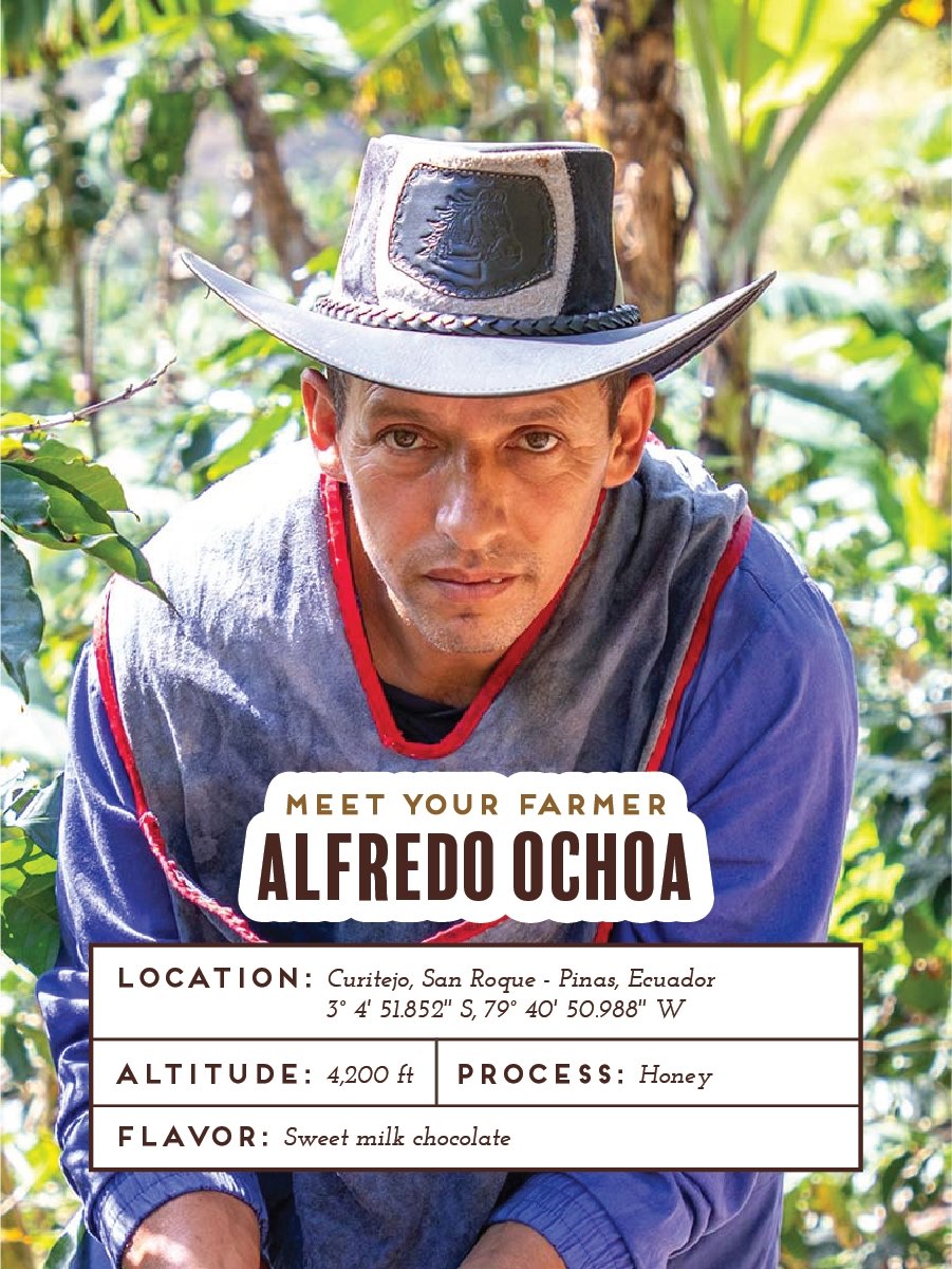 Coffee Bundles | Variety Packs | Z Beans Coffee